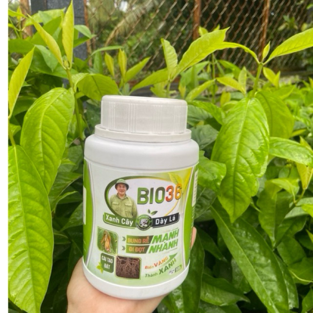 Bio 36 [ hàng chính hãng, 500g, miễn phí vận chuyển] đi đọt nhanh bung ...