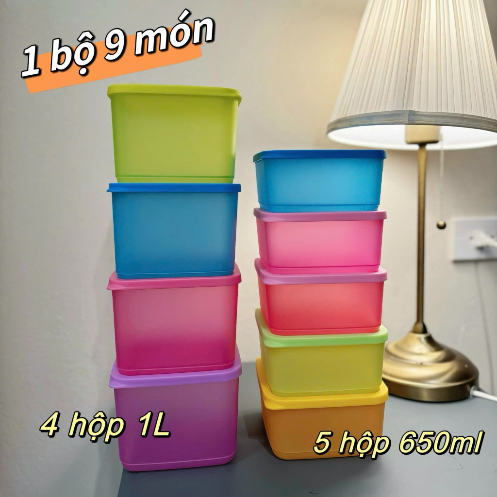 Set 9 hộp Tupperware ngăn mát màu ngẫu nhiên ( Loại to )- Tup Trung | Shopee Việt Nam