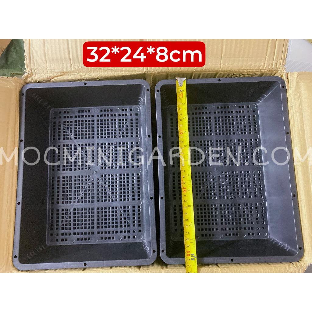 (32*24*8cm) Khay Nhựa & Nắp Trong Suốt || Mocminigarden | Shopee Việt Nam