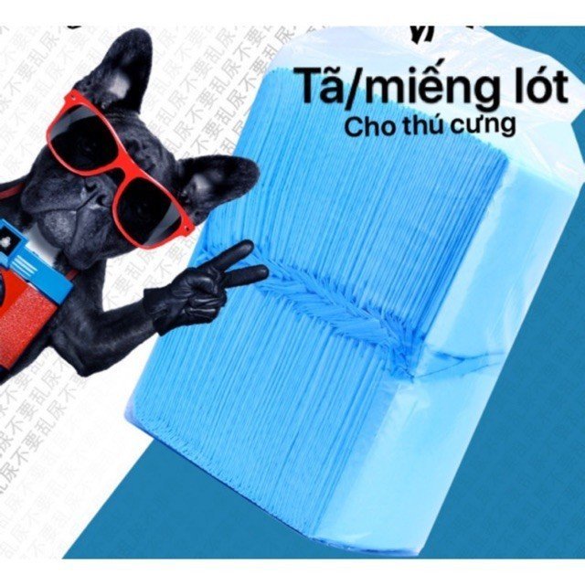 Tã Bỉm Giấy Lót Chuồng Cho Chó Mèo Siêu Thấm Hút Cho Chó Mèo Cực Kì ...