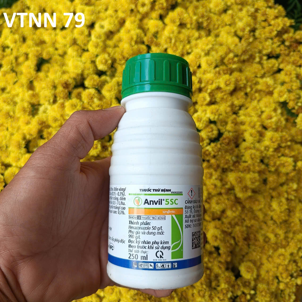 ANVIL 5SC CHAI 250ML. CÔNG TY SYNGENTA | Shopee Việt Nam