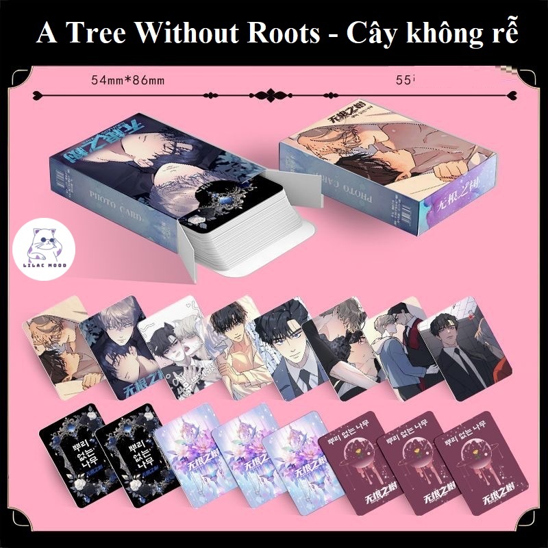 (sẵn-2 mẫu) Cây không rễ | Hộp thẻ card laser 50 tấm (mới) Lomo Lomocard bo góc Rootless Tree ...