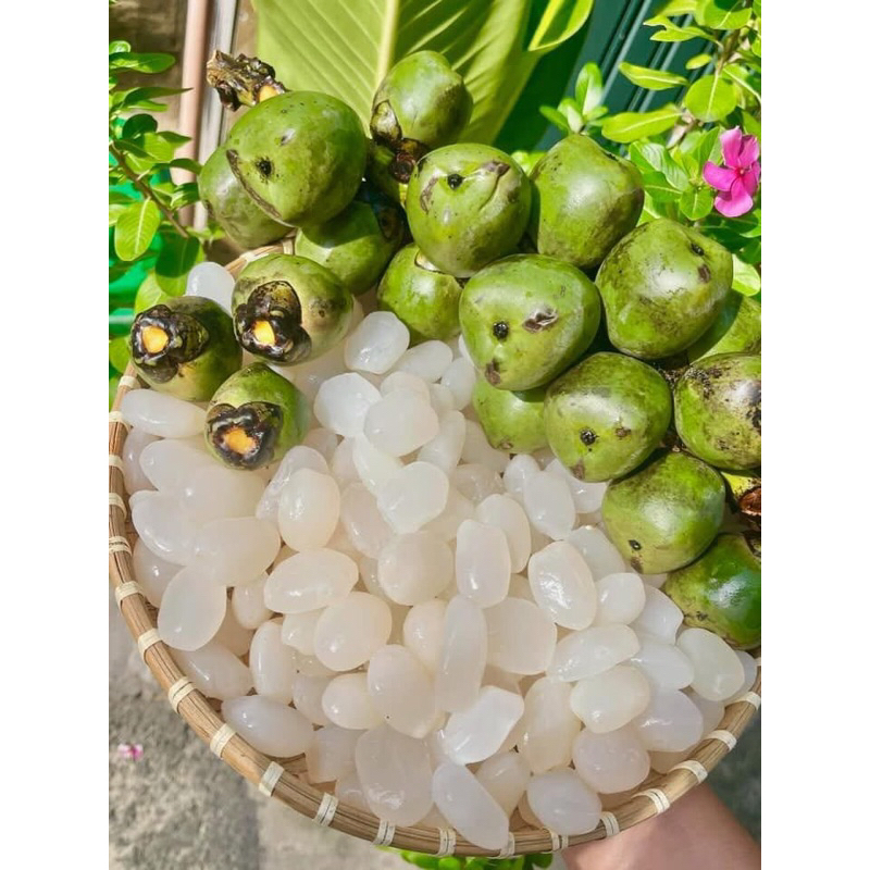 Hạt Đác Tươi Size Trung Dẻo Nấu Chè, Rim, Topping Giải Nhiệt | Shopee ...