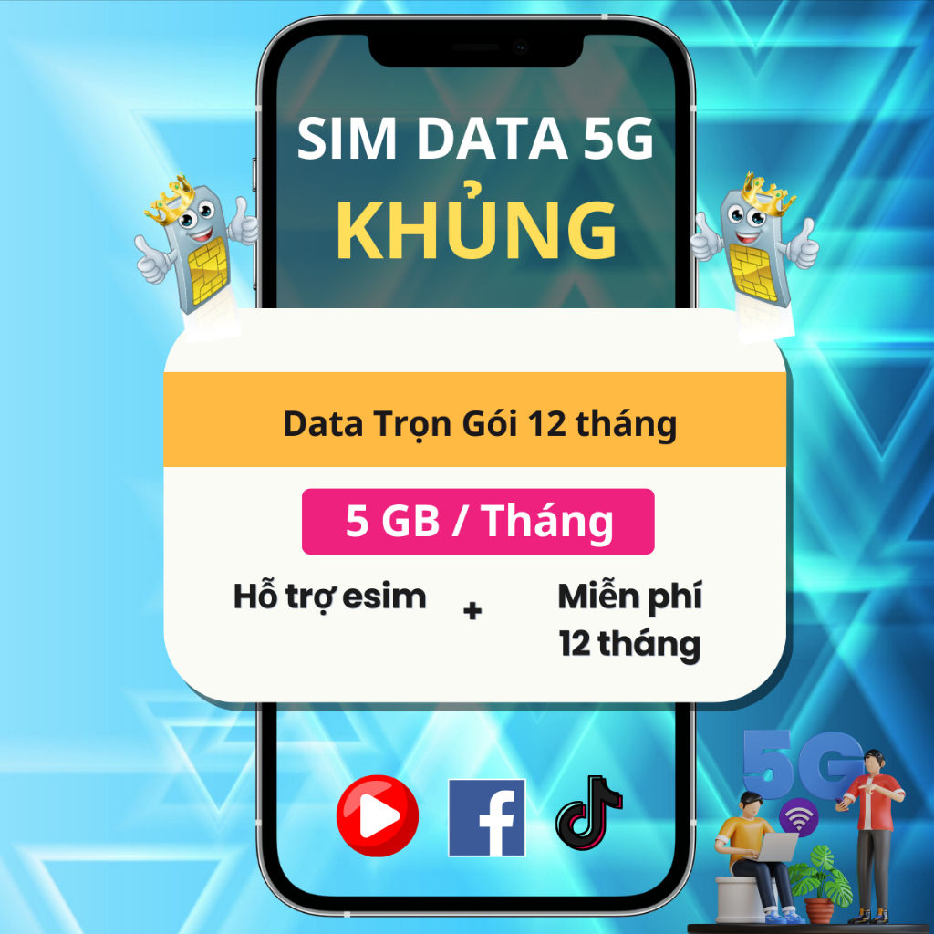 Sim Data Vinaphone Tốc Độ Cao Ngày 12 THÁNG LIÊN TỤC 5.5GB Trong 30 Ngày Hỗ trợ Esim | Shopee ...