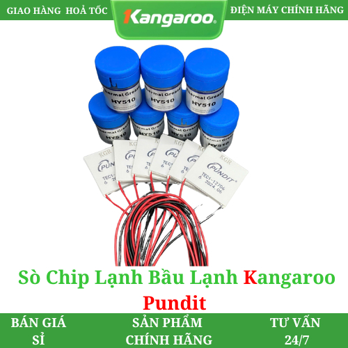 Sò Chip Lạnh Kangaroo Pundit Máy Lọc Nước, Cây Nóng Lạnh - Chính Hãng ...