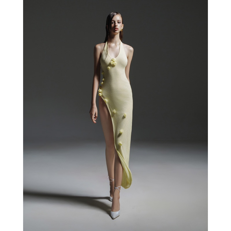 Arina Dress | Shopee Việt Nam
