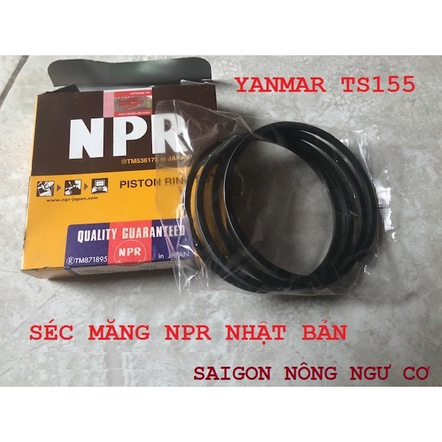Bạc xéc măng NPR Nhật cho Yanmar TS50 TS60 TS70 TS155 TS180 NS180 RK125 ...