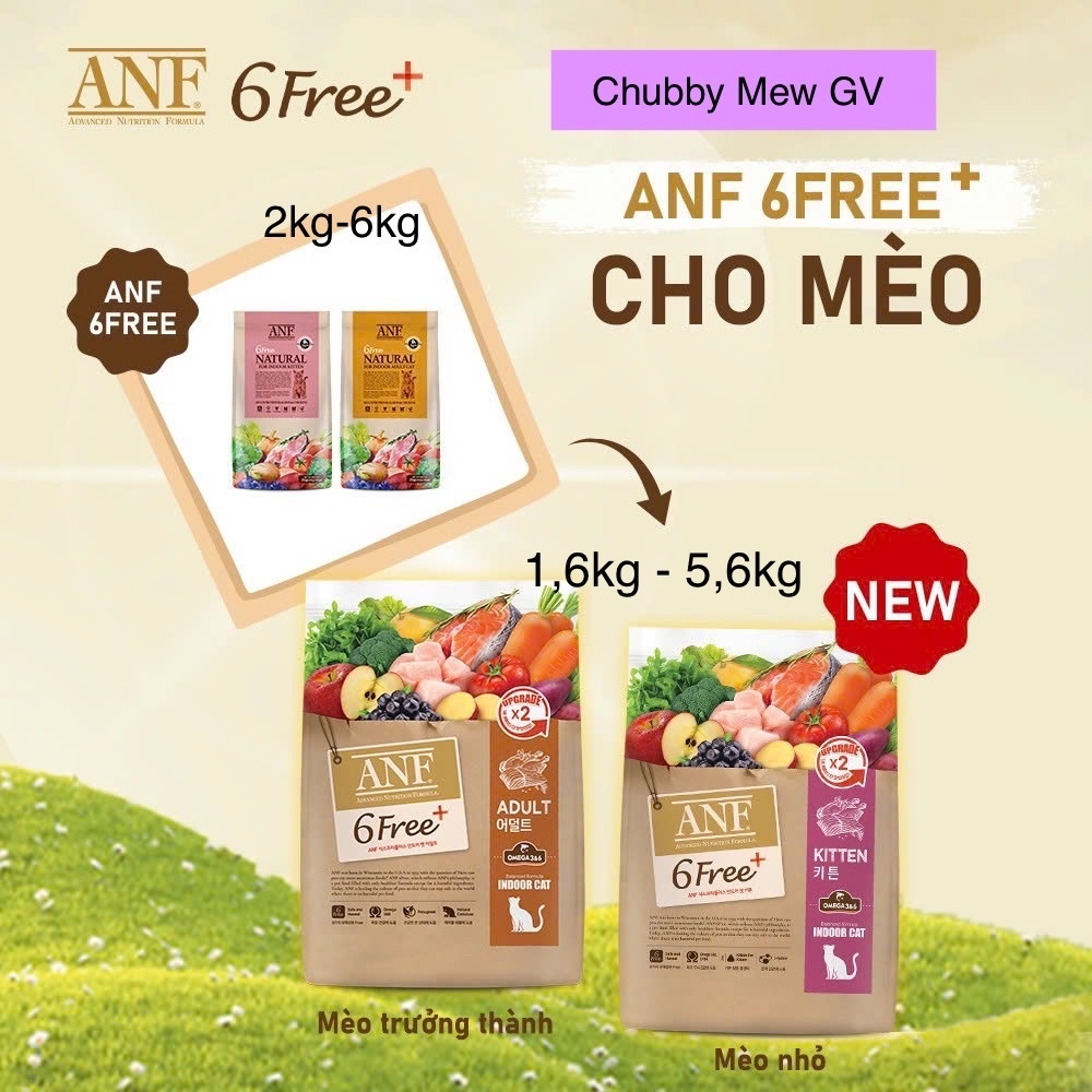 (1.6kg-2kg-5.6kg-6kg) Hạt ANF 6Free Indoor Cho Mèo Con và Trưởng Thành - Chubby Mew | Shopee ...