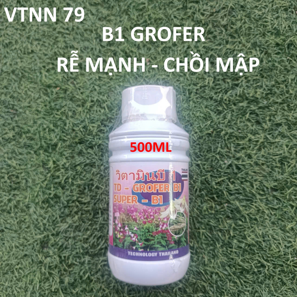 B1 GROFER CHAI 500ML, RỄ MẬP CHỒI KHỎE | Shopee Việt Nam