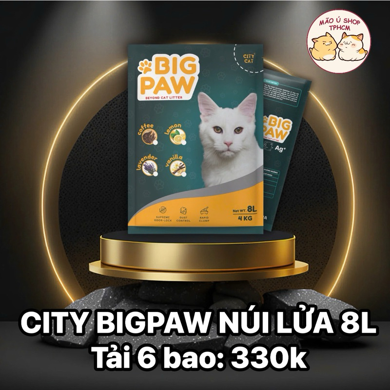 TẢI 6 BAO CÁT CITY BIGPAW NÚI LỬA 8L - CÁT VỆ SINH CAO CẤP THAN KHỬ MÙI ...