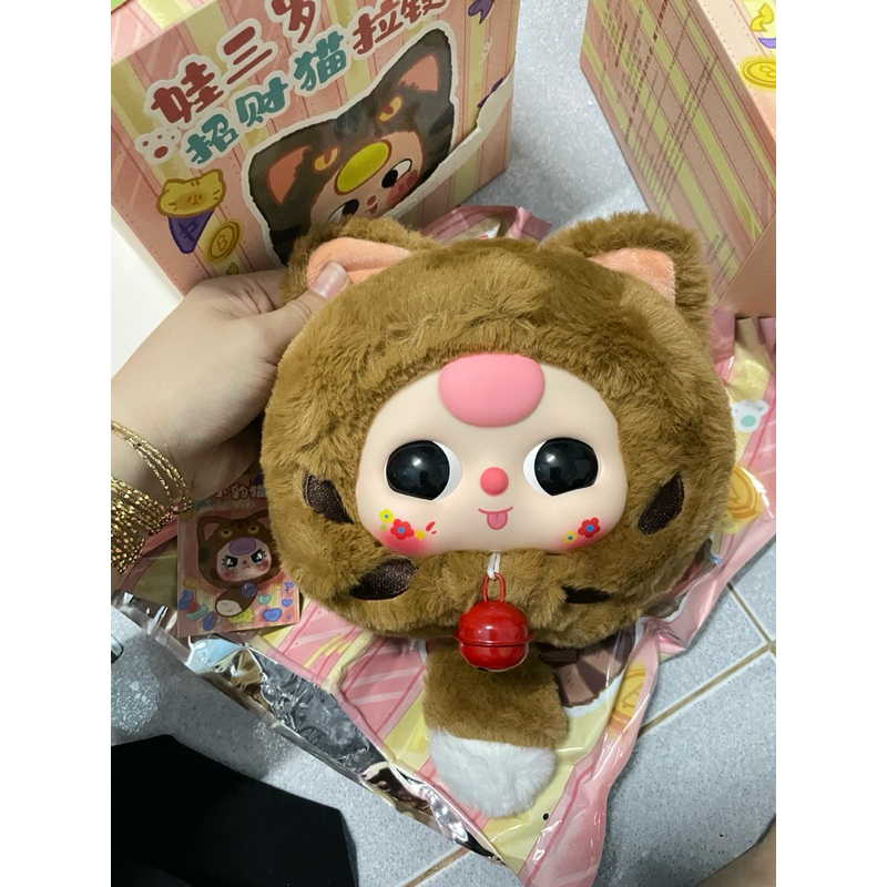pass baby three Mèo thần tài | Shopee Việt Nam