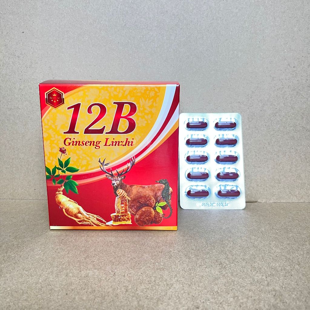 CHÍNH HÃNG - VITAMIN TỔNG HỢP 12B GINSENG LINZHI - VINPHAR | Shopee ...