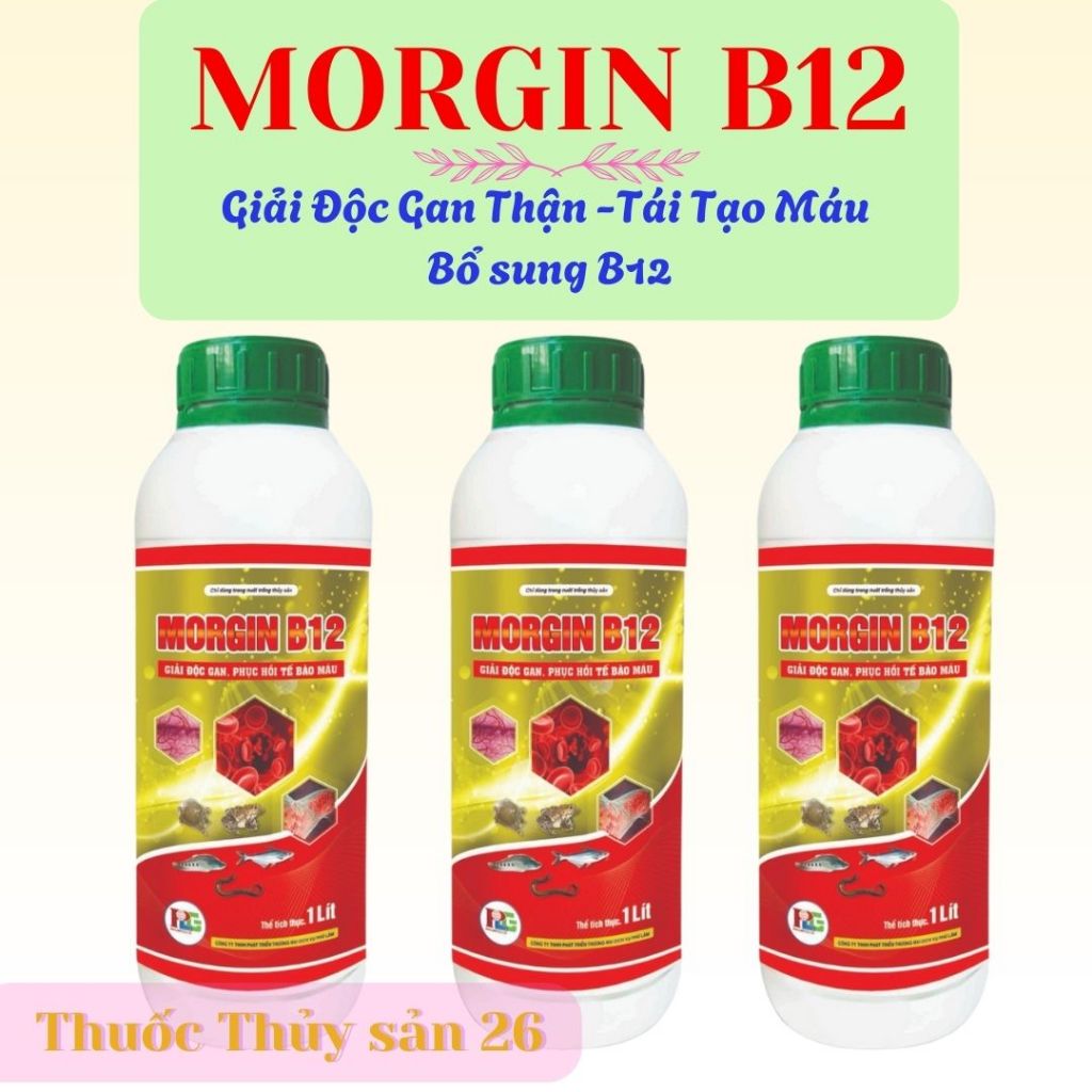 MORGIN B12 - GIẢI ĐỘC GAN PHỤC HỒI TẾ BÀO MÁU BỔ SUNG B12 DÙNG CHO ẾCH CÁ LƯƠN BABA | Shopee ...