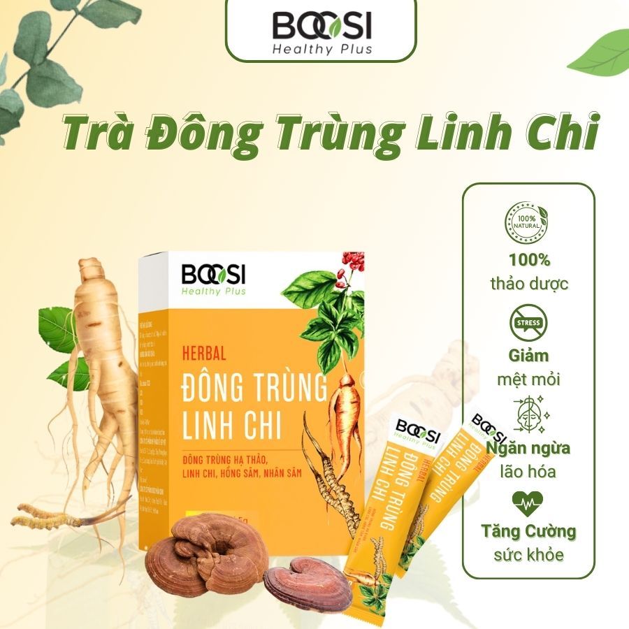 Trà Đông Trùng Linh Chi BOOSI Tăng Cường Sức Khỏe Giúp Giảm Căng Thẳng ...