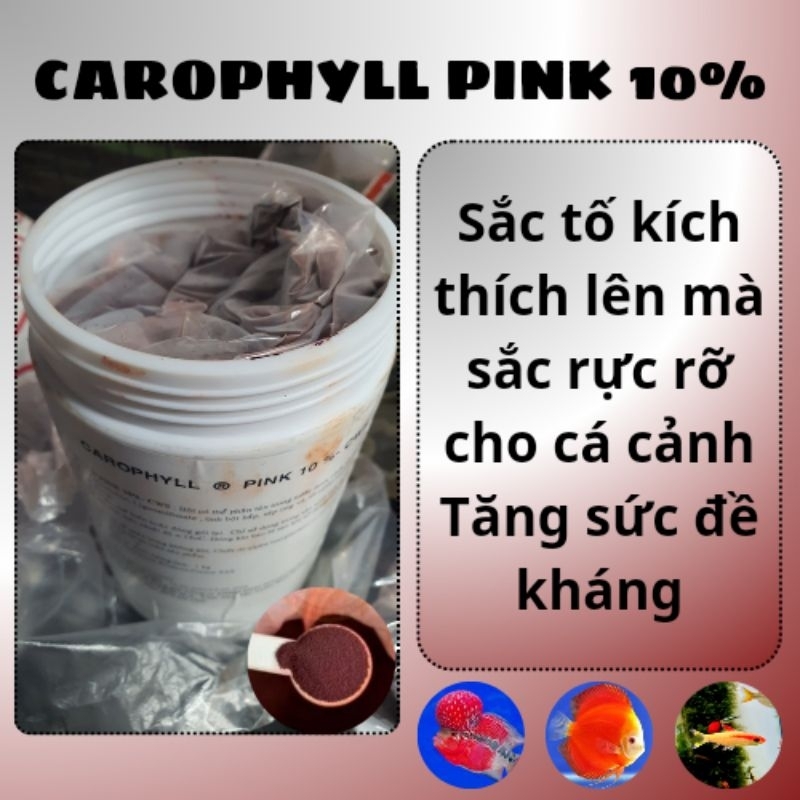 CAROPHYLL PINK 10- Tăng sắc tố giúp cá cảnh lên màu sặc sỡ, kích thích ...