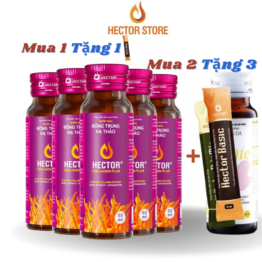 Hector Collagen Plus Đông Trùng Hạ Thảo (hộp 10 chai) | Shopee Việt Nam