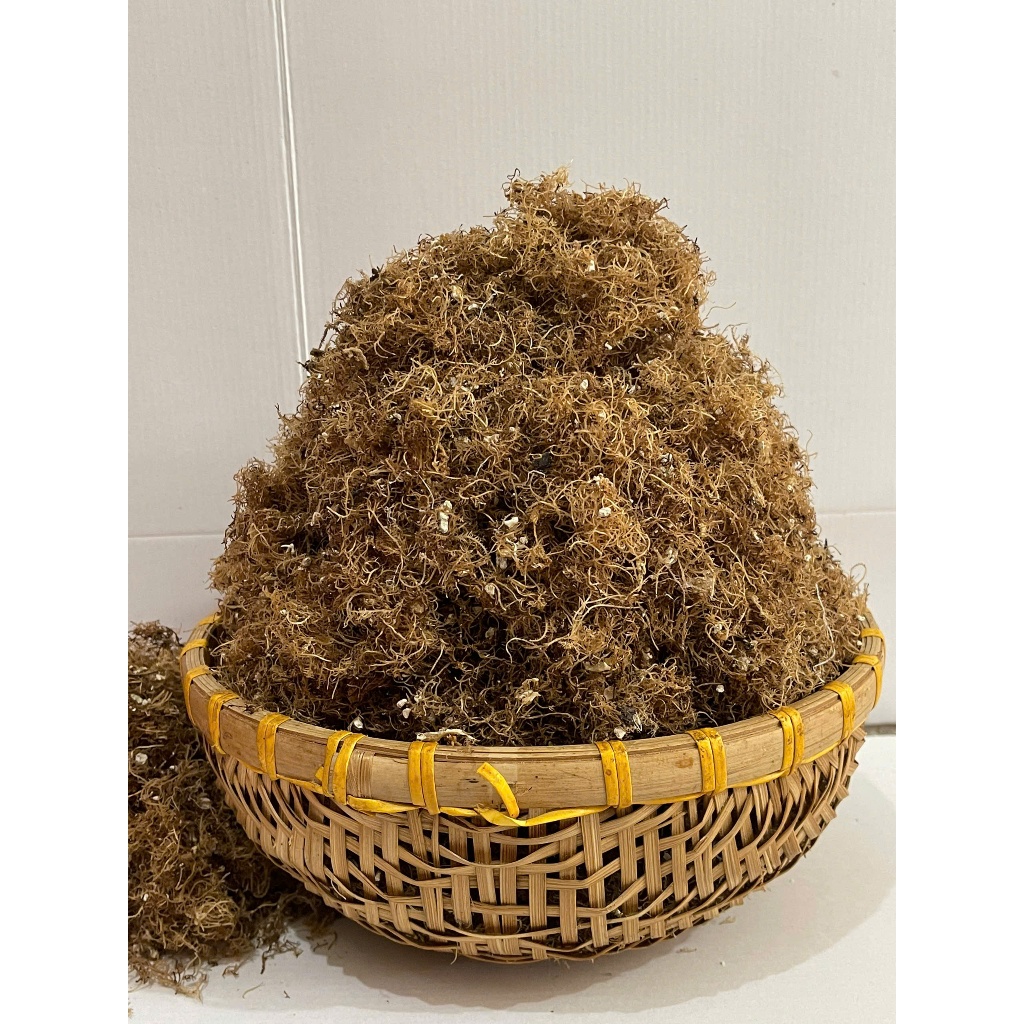 RONG XU XOA đảo Lý Sơn (Rong đông) - Rong khô hoàn toàn Tự Nhiên - Chuyên dùng nấu thạch rau câu ...