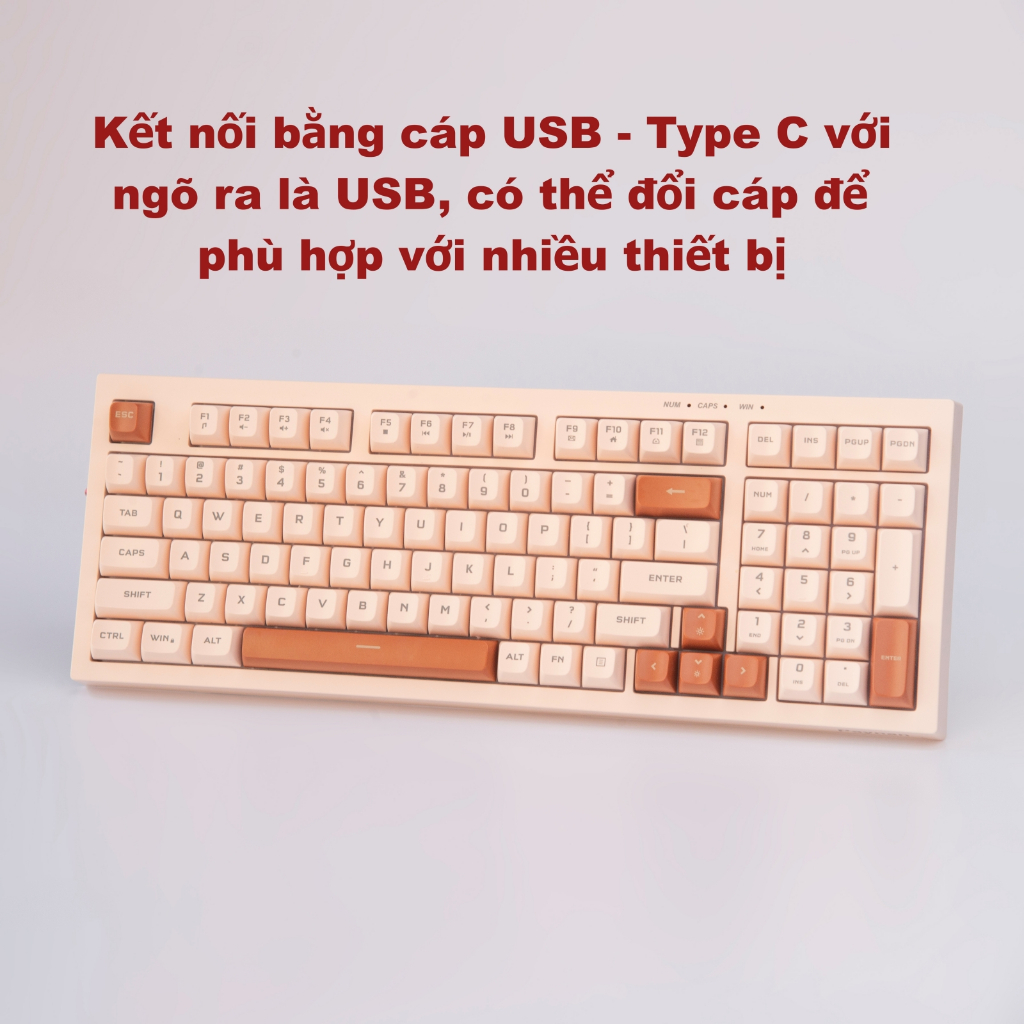 Bàn Phím Cơ P1 Paynan Chống Ồn Đèn Led Cáp Rời - Timon Shop – Săn Deal ...