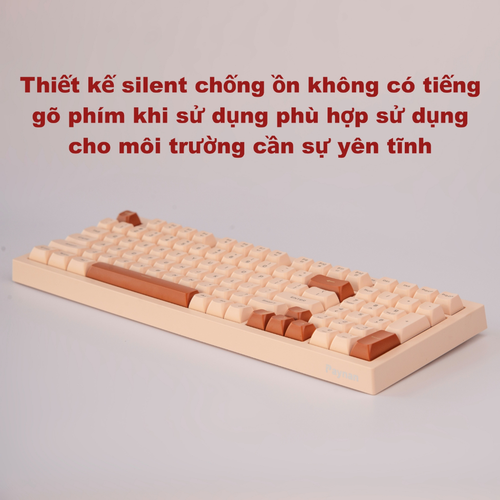Bàn Phím Cơ P1 Paynan Chống Ồn Đèn Led Cáp Rời - Timon Shop – Săn Deal ...