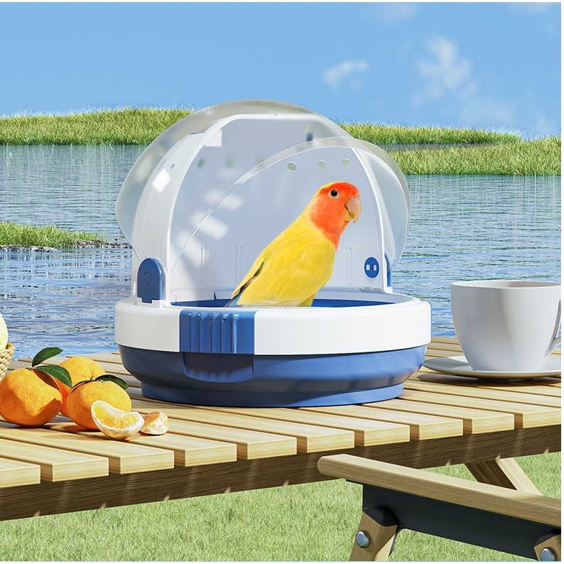 Lồng Du Lịch Trong Suốt Cho Chim Cảnh, Vẹt, Lovebird – Nhựa Polystyrene ...
