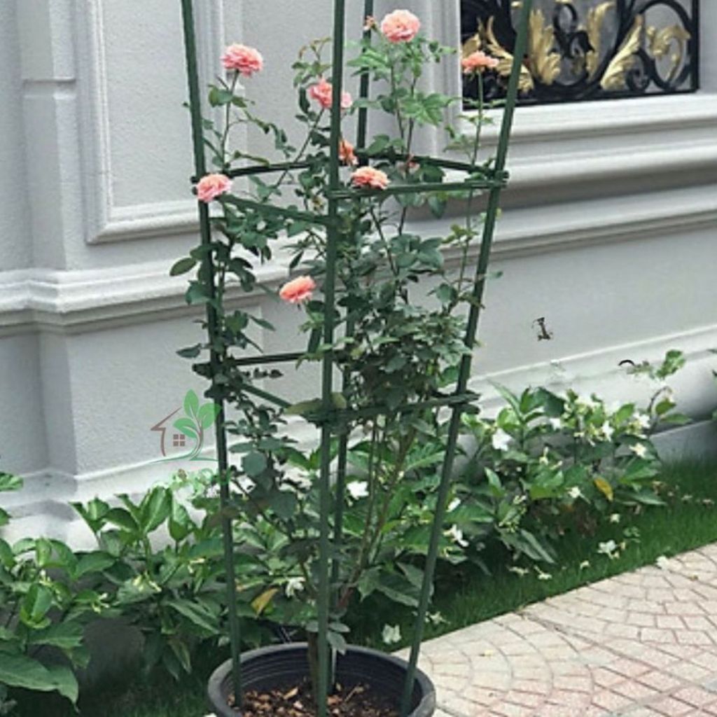 Khung đỡ hoa tứ giác cạnh 28cm DAIM Nhật Bản lõi thép bọc nhựa làm khung đỡ cho các loại hoa ...