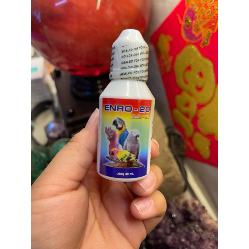 ENRO-20 Thái chuyên dùng cho các dòng vẹt, chim cảnh chai nguyên 30ml ...