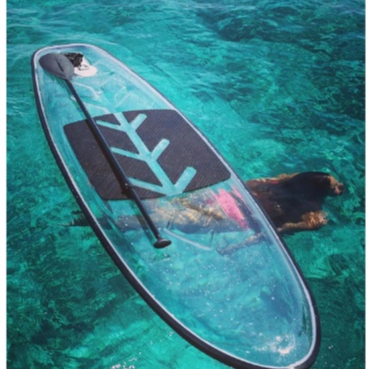 Crystal SUP - Thuyền SUP / Ván chèo đứng trong suốt - Đen - 3m12 ...