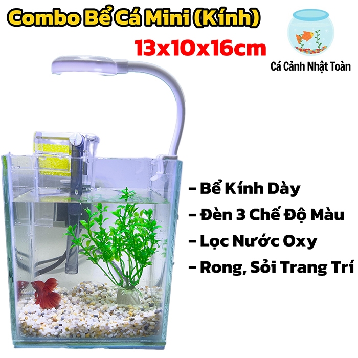 Combo Bể Kính Nuôi Cá Mini 13x10x16cm Kèm Sỏi, Rong Trang Trí + Lọc ...