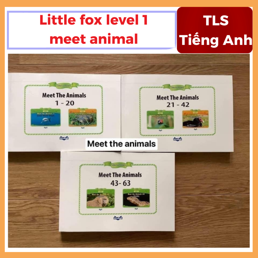 Little fox level 1 meet animal | Shopee Việt Nam