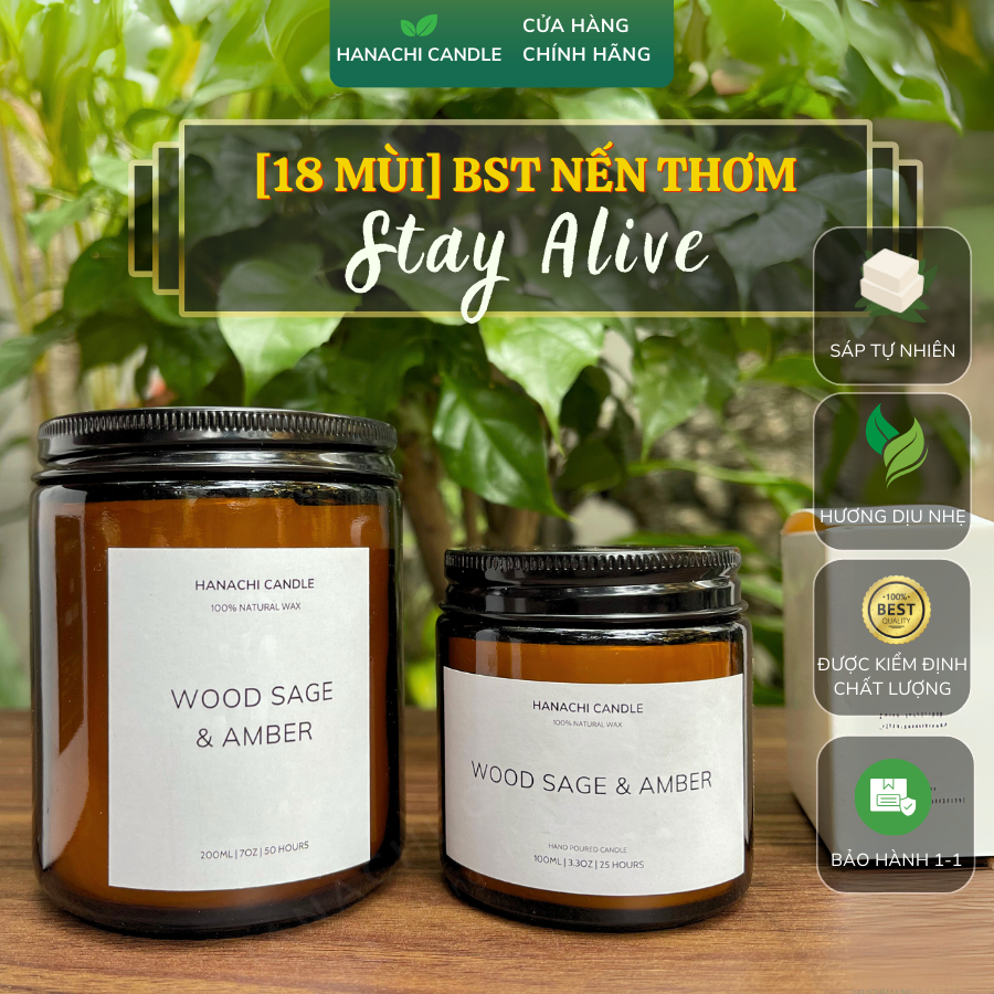 [10 Mùi 2 Size] Nến Thơm Cao Cấp Hanachi Candle Thư Giãn An Toàn Không ...