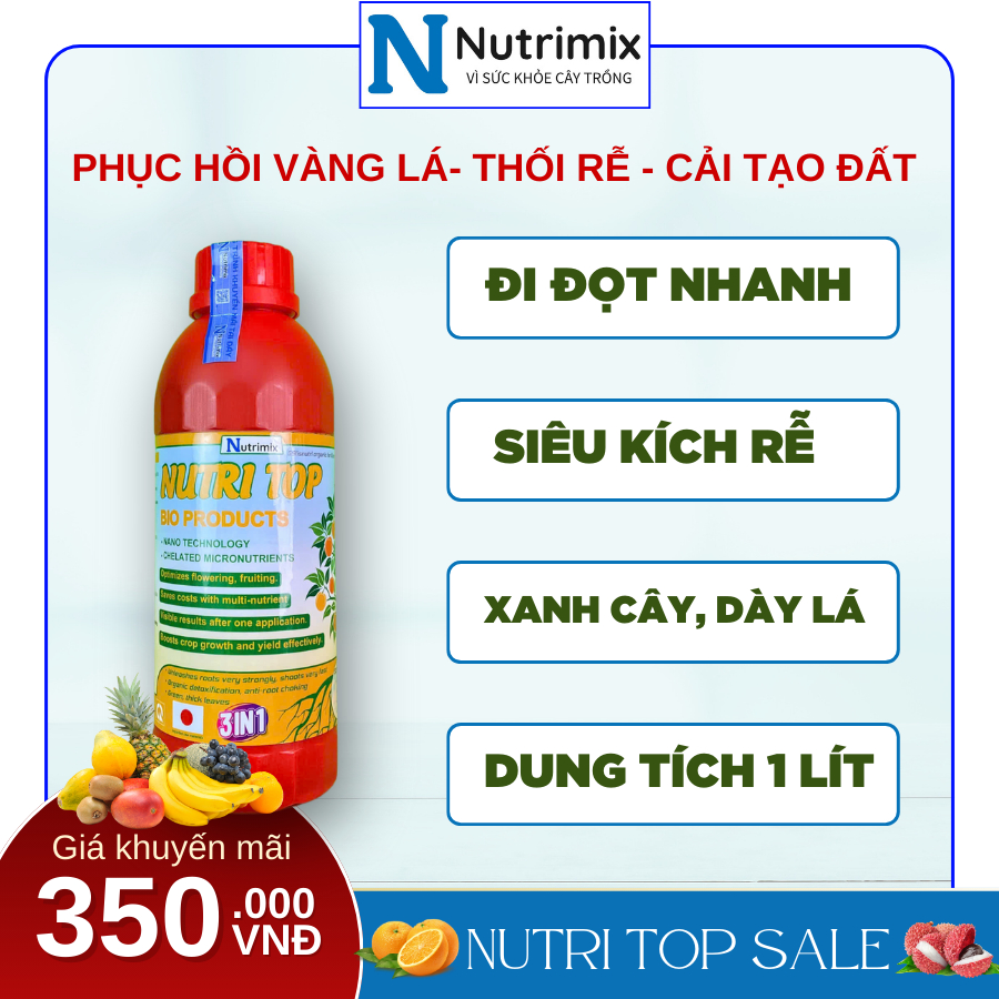 Phân Bón Nutri TOP Nhật Bản kích rễ, xanh cây, dày lá chai 1 lít | Shopee Việt Nam