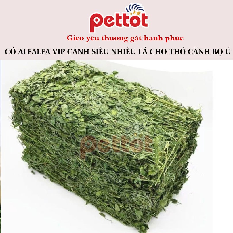 [Hàng mới về 15/10/2025] Cỏ Alfalfa Hay cành mềm non nhiều lá Cho Thỏ ...