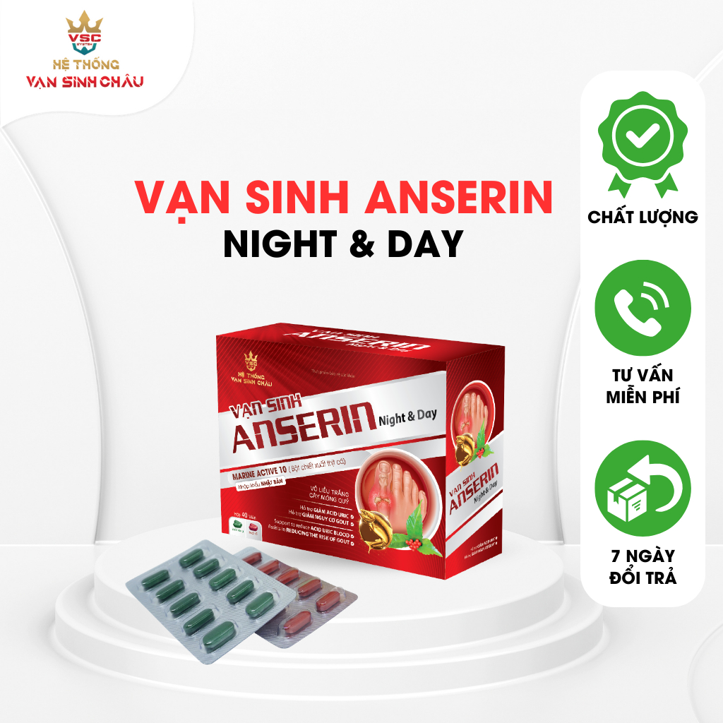 Viên uống hỗ trợ gout Vasih P&B Anserin Night & Day hộp 4 vỉ x10 viên ...