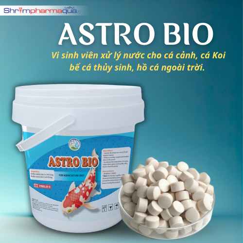 ASTRO BIO (250 g) Vi sinh viên làm trong nước hồ thủy sinh và bể cá ...