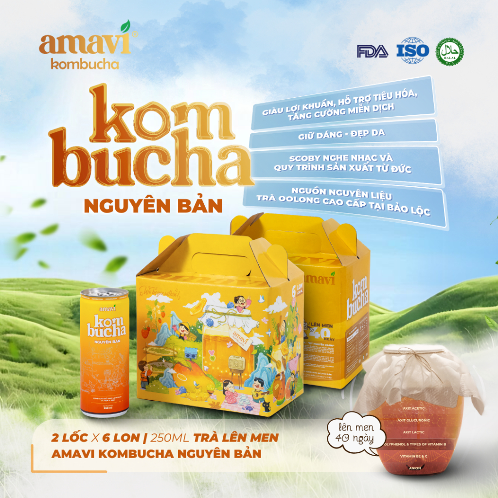 Combo 12 lon Kombucha trà lên men tự nhiên AMAVI KOMBUCHA | Combo 2 lốc x 250ml | Shopee Việt Nam