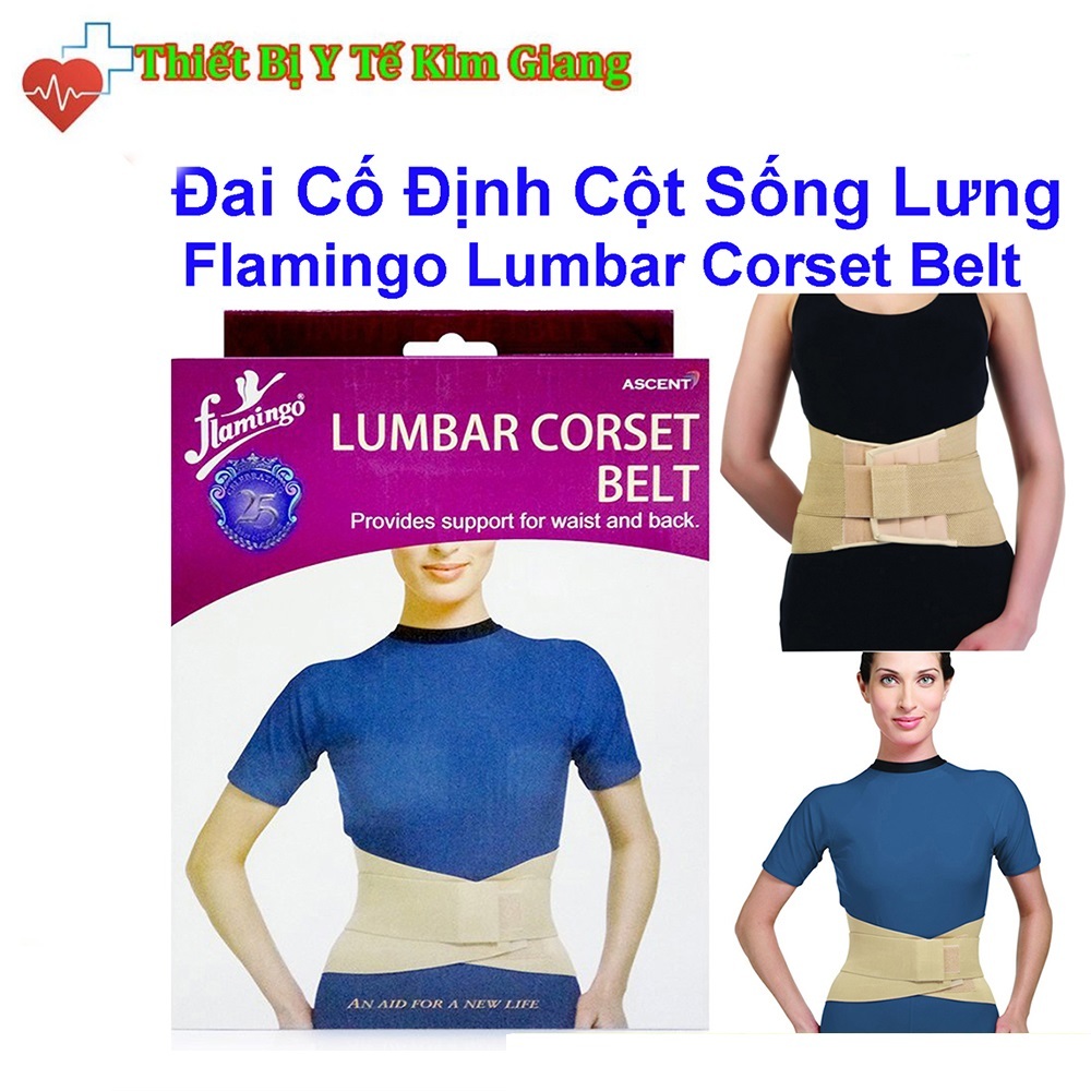 Đai Cố Định Cột Sống Lưng Flamingo Lumbar Corset Belt | Shopee Việt Nam