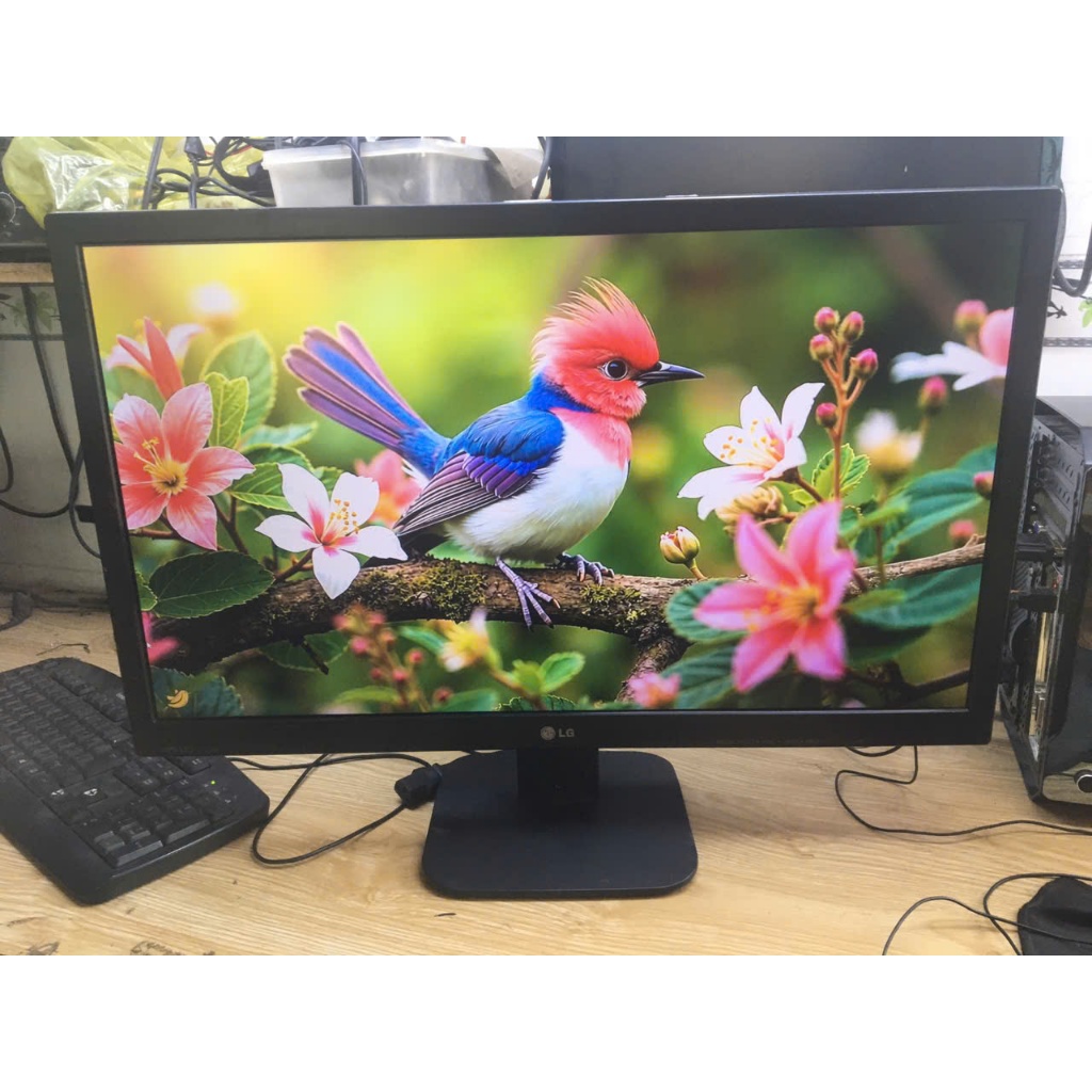 Màn hình máy tính LG 27EA33 27 inch IPS Full HD | Shopee Việt Nam
