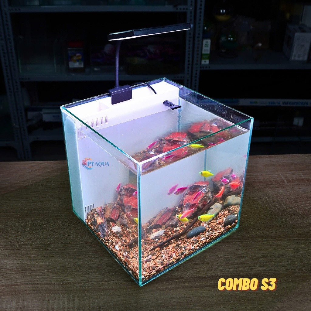 Bể Cá Mini Lọc Vách CUBIC 25 Để Bàn Đầy Đủ Phụ Kiện Có Sẵn Bơm và Vật ...