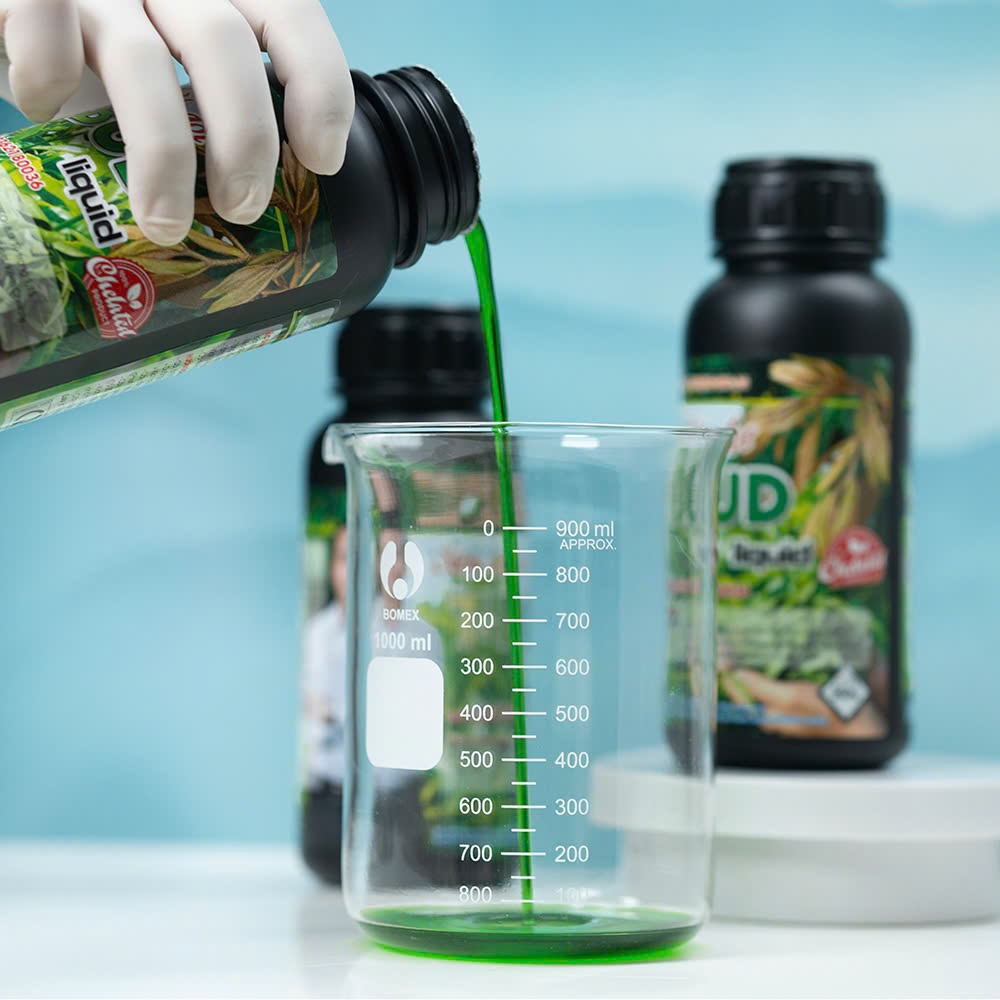 T-Bud Liquid (lỏng) 500ml Kích chồi, bật đọt siêu tốc | Shopee Việt Nam