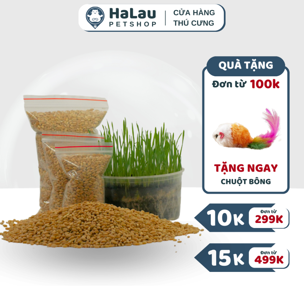 Hạt giống cỏ mèo, cỏ mèo tươi, hạt giống lúa mì hạn chế tắc búi lông HALAU Petshop HL057 ...
