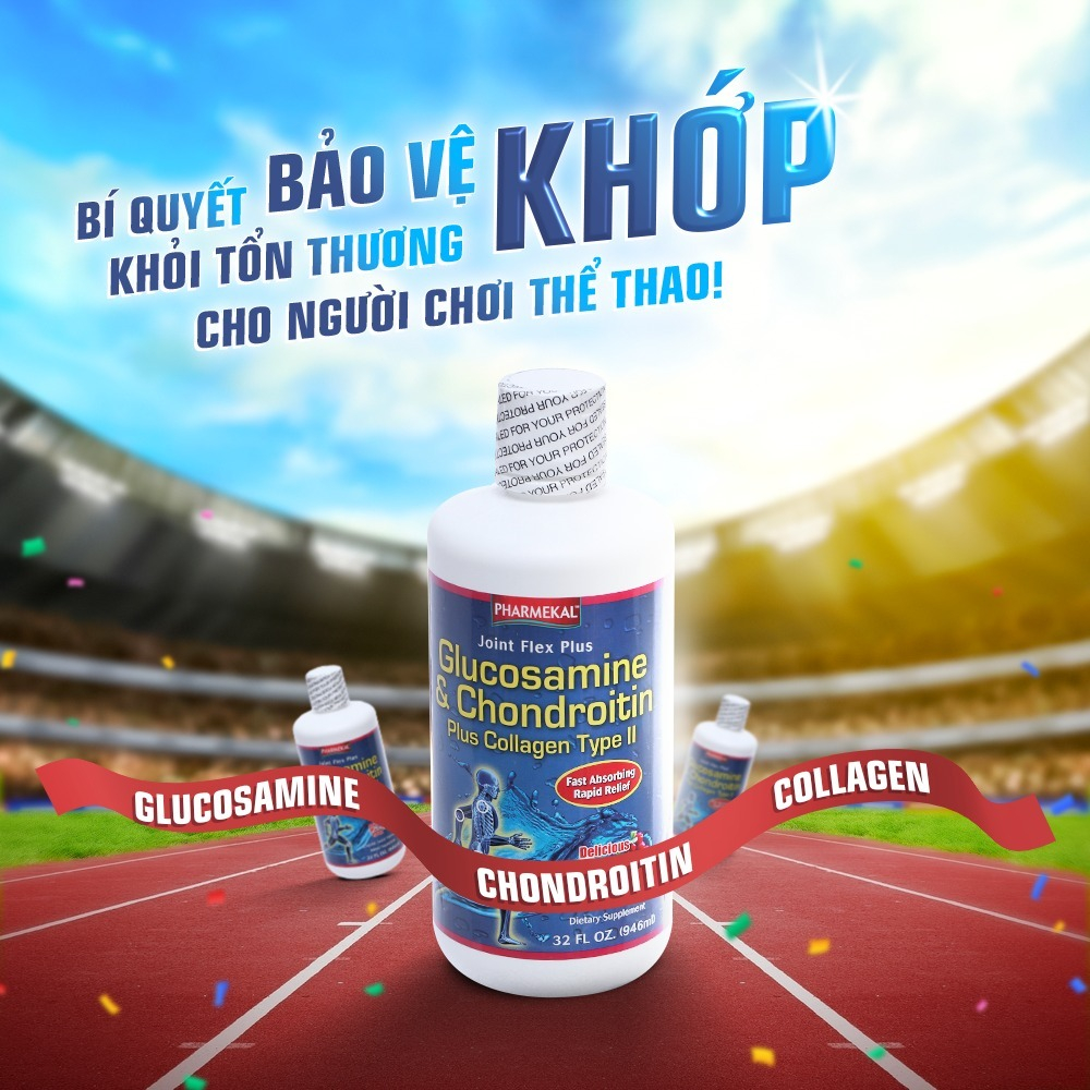 Thực phẩm bảo vệ sức khỏe Joint Flex Plus Glucosamine & Chondroitin ...