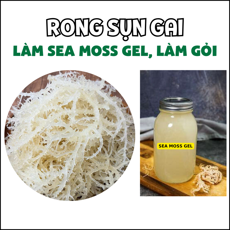 1kg RONG SỤN GAI 1 NẮNG DÙNG LÀM SEA MOSS GEL, RONG SỤN LÀM GỎI HOẶC ...