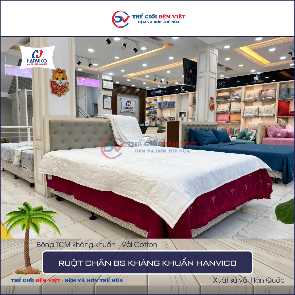 RUỘT CHĂN HÈ BS KHÁNG KHUẨN HANVICO - HÀNG CHÍNH HÃNG | Shopee Việt Nam