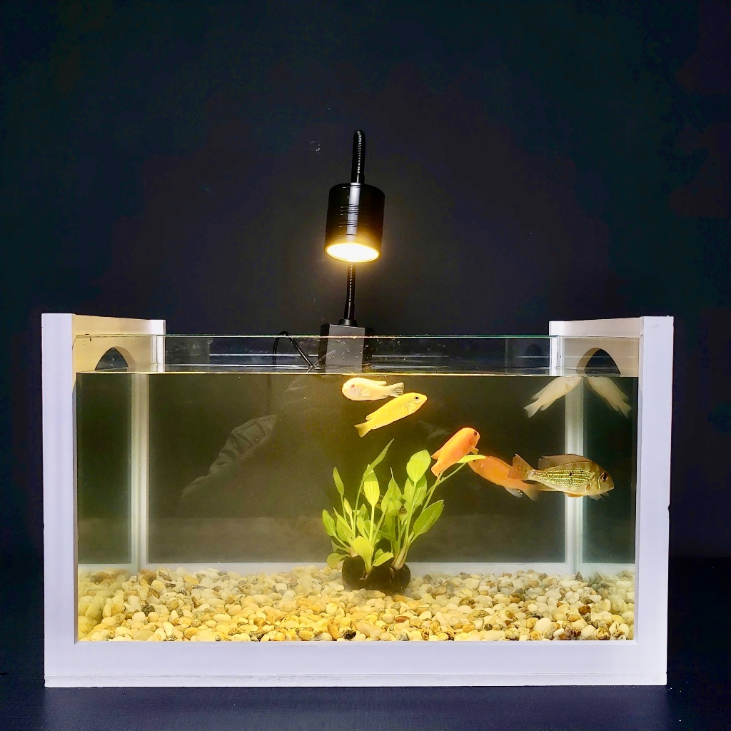 Bể cá mini COMBO BỂ CÁ để bàn 40cm kèm lọc nước, đèn led, phụ kiện ...