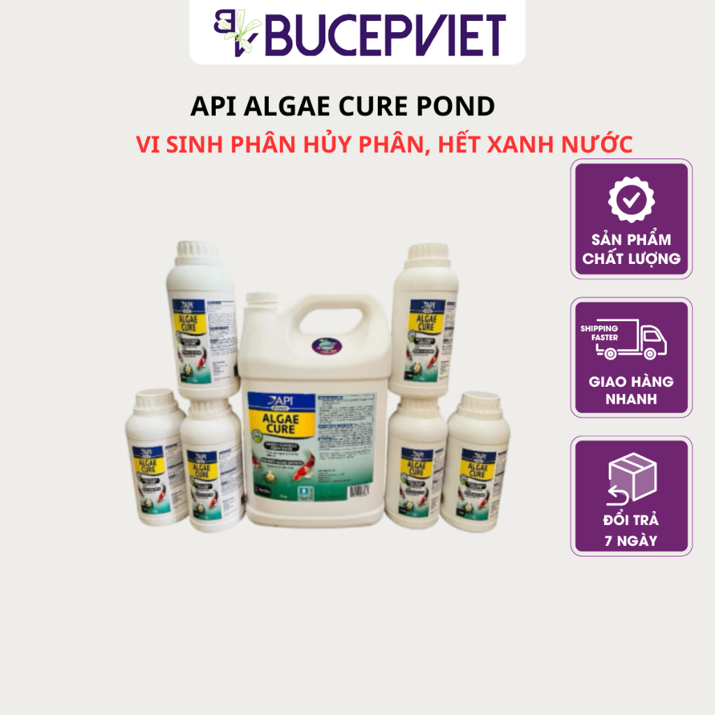 Vi sinh API ALGAE CURE POND - phân huỷ phân cá, mùn bã, làm nước siêu ...