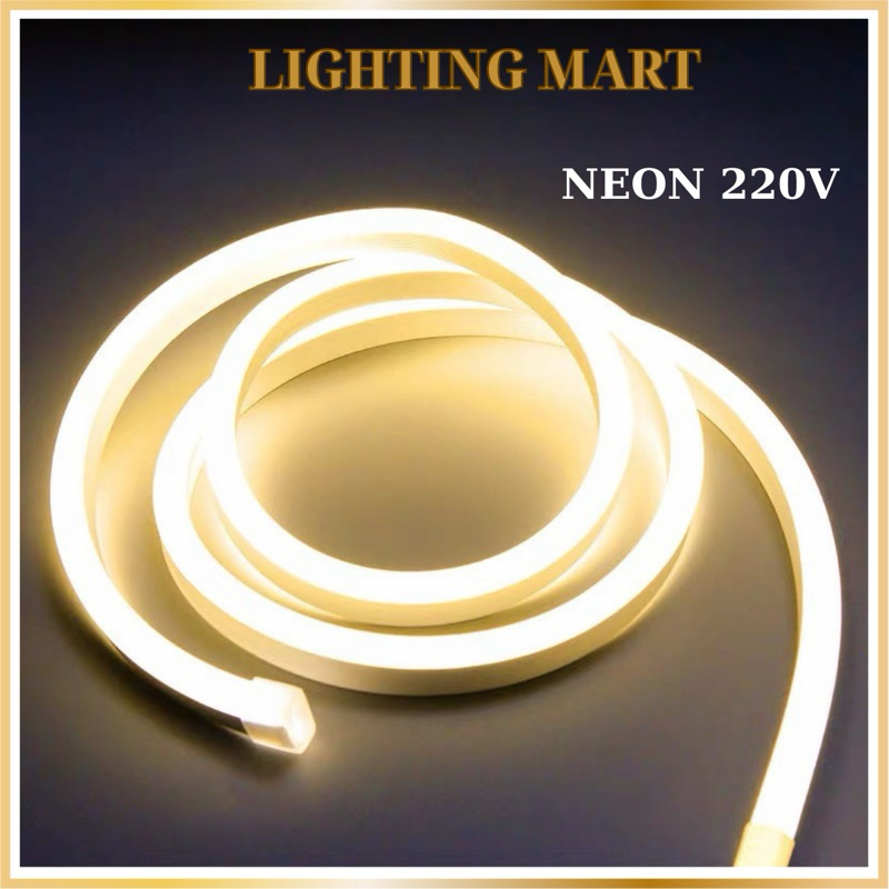 Combo 5 Mét 10 Mét Dây Led Neon 220V (Đã gồm nguồn), dây led hắt trần ...