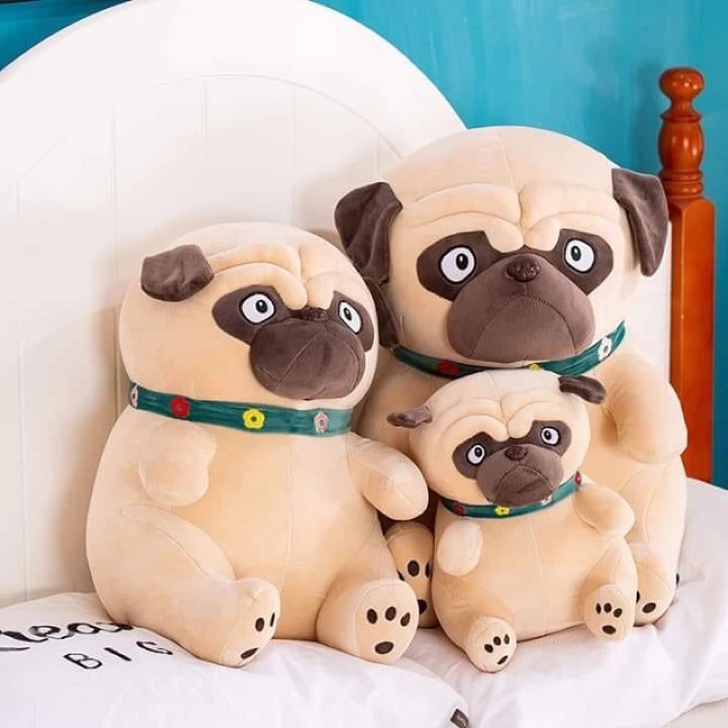 gấu bông chó mặt nhăn, Chó Pull dog bông, Chó mặt xệ bông | Shopee Việt Nam