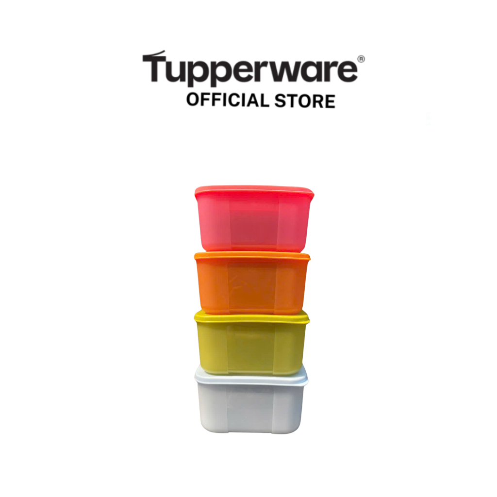 Bộ hộp trữ đông 650ml màu sắc rainbow Tupperware, chính hãng | Shopee ...