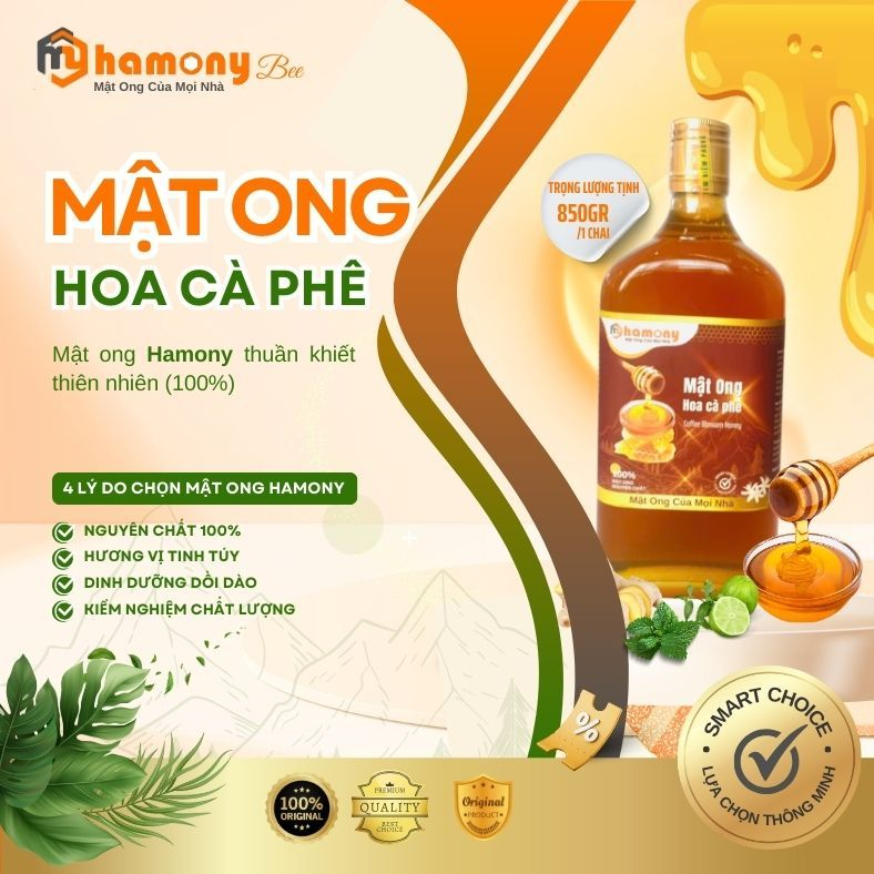 Mật ong hoa cà phê Hamony chai thủy tinh 850gram | Shopee Việt Nam