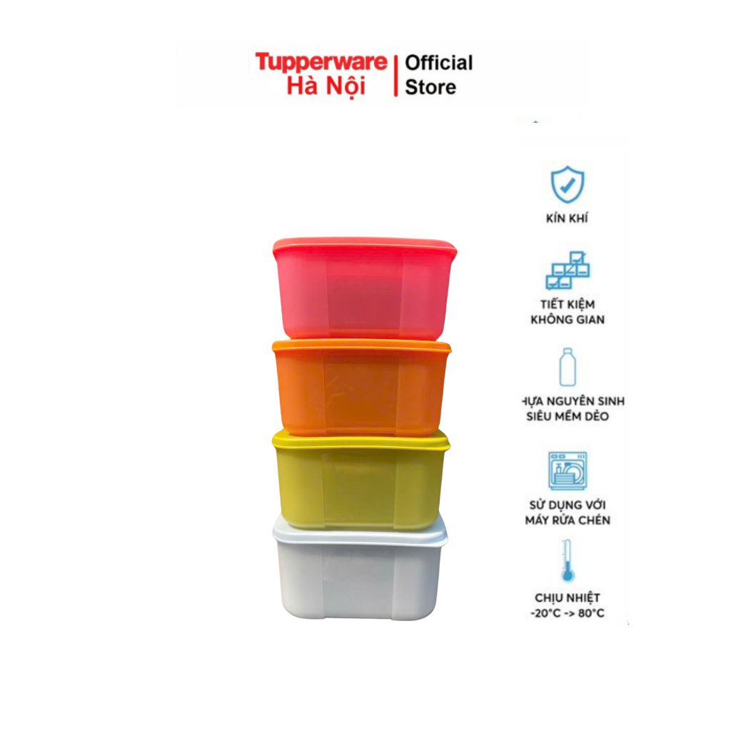 bộ hộp đông mát 650ml màu sắc rainbow Tupperware chính hãng | Shopee ...